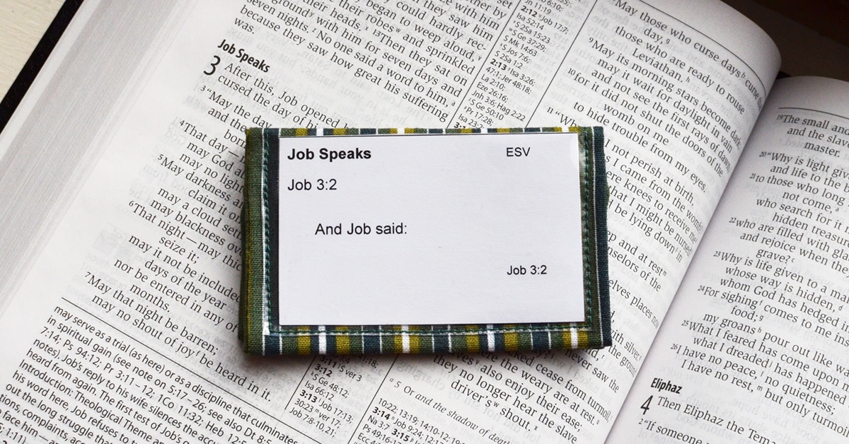 The Topical Memory System Lite — Scripture Memory Made Even Easier