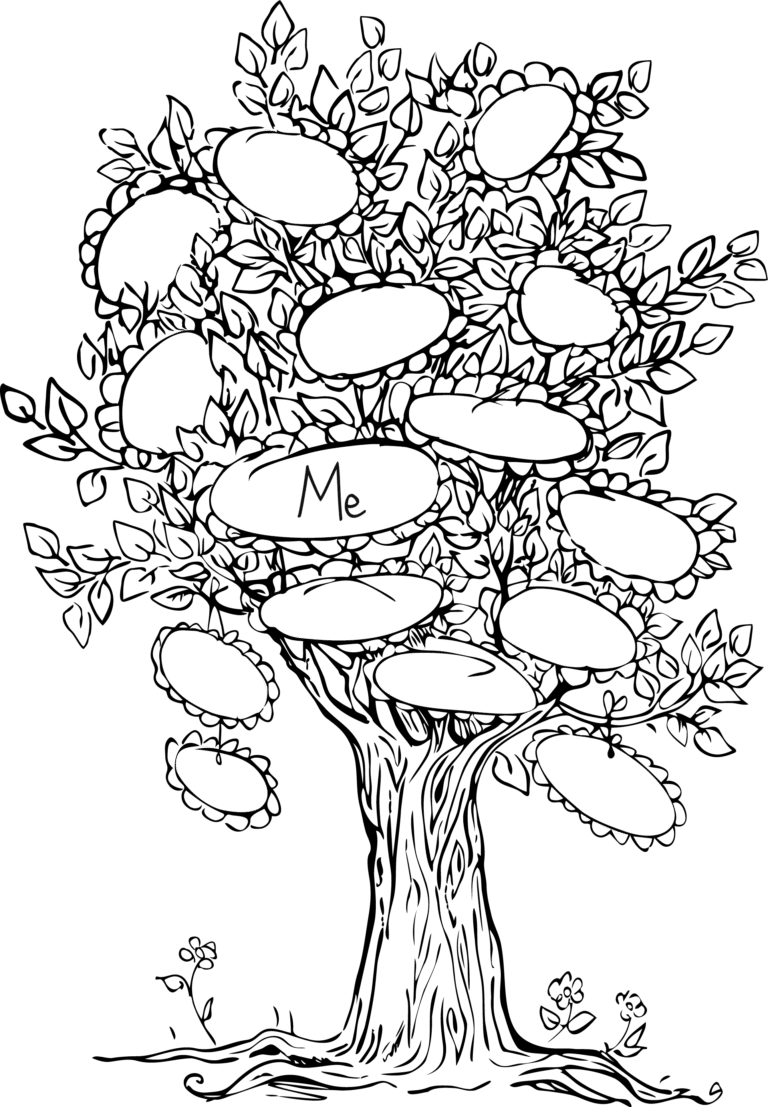 Your Spiritual Family Tree | The Navigators | Discipleship Resource