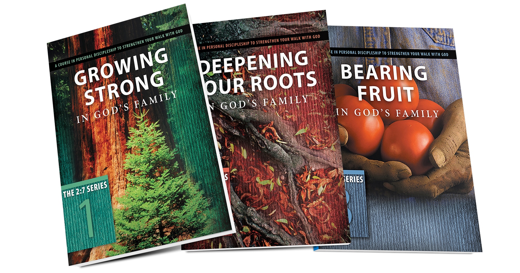 The 2:7 Series | Discipleship Training Curriculum